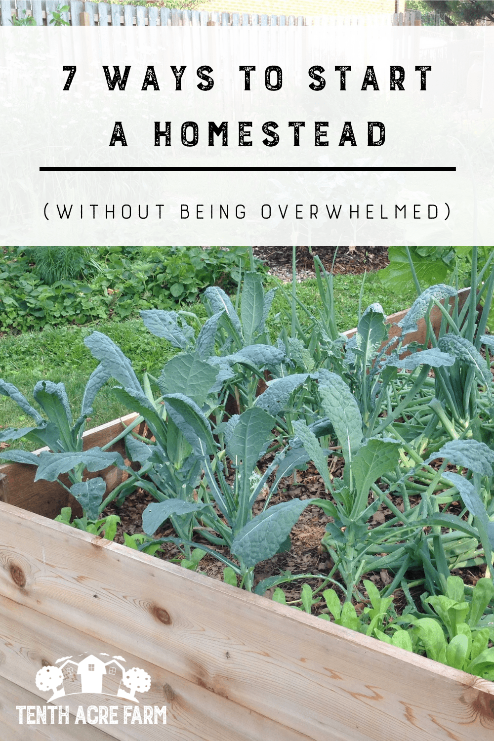 7 Ways to Start a Homestead (Without Being Overwhelmed) - Tenth Acre Farm