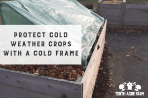 Protect Cold Weather Crops with a Cold Frame - Tenth Acre Farm