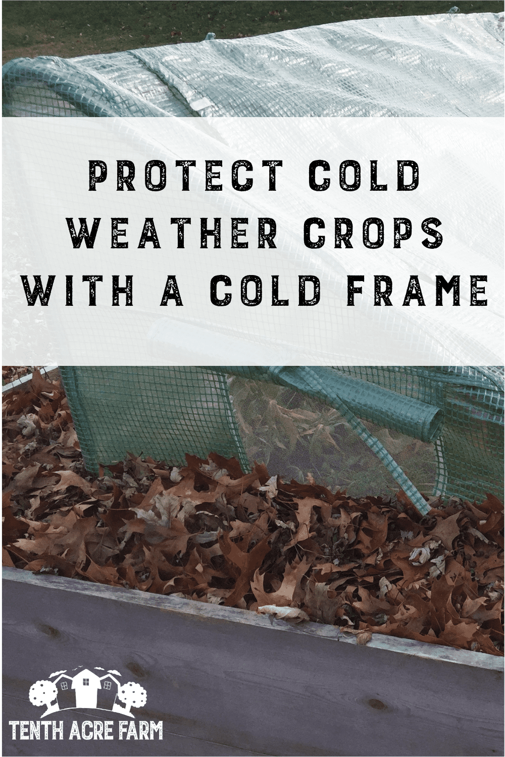 Protect Cold Weather Crops with a Cold Frame - Tenth Acre Farm