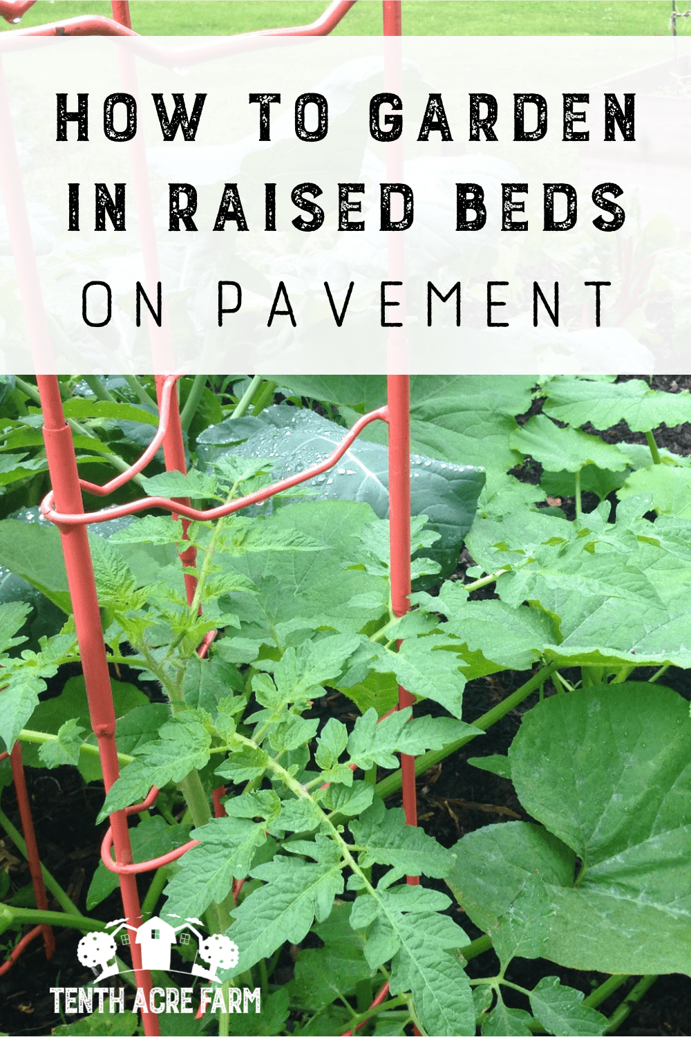 How to Garden in Raised Beds on Pavement - Tenth Acre Farm