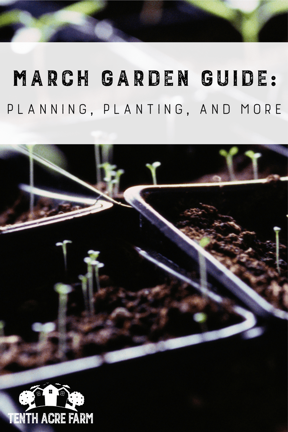 March Garden Guide: Planning, Planting, and More - Tenth Acre Farm