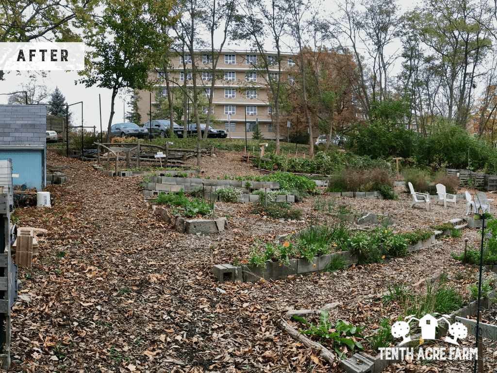 Growing Community Against Steep Odds: A Community Garden Story - Tenth ...