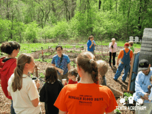 Growing Community Against Steep Odds: A Community Garden Story - Tenth ...