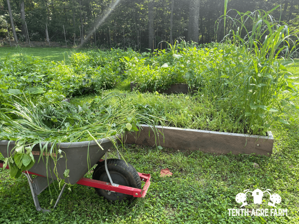 How to Keep Persistent Herbicides Out of Your Compost Bin - Tenth Acre Farm