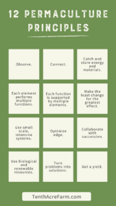 What is Permaculture? Designing a Resilient Garden - Tenth Acre Farm