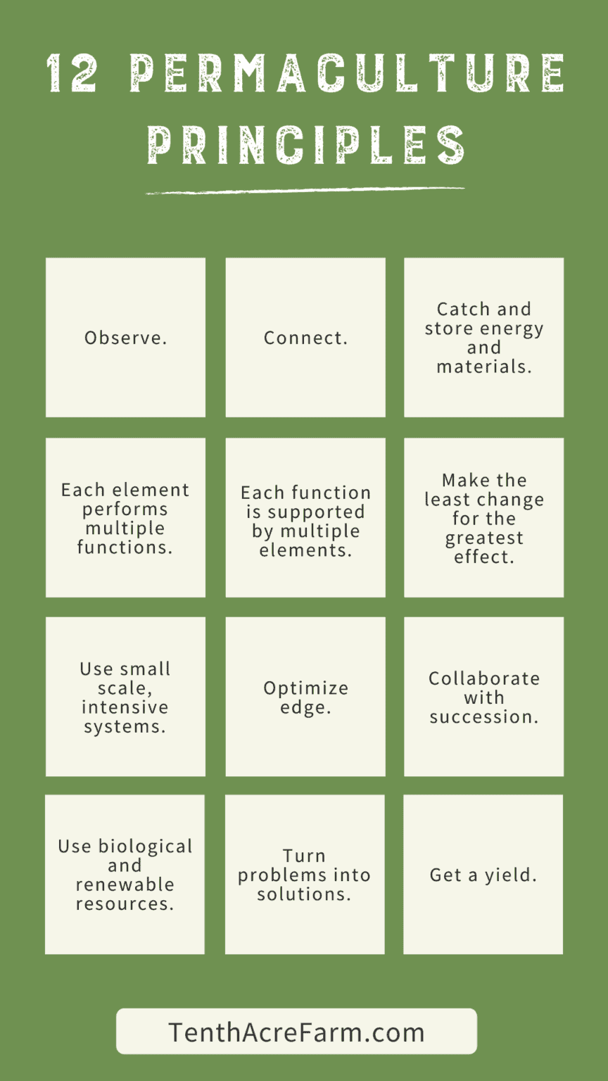 What is Permaculture? Designing a Resilient Garden - Tenth Acre Farm