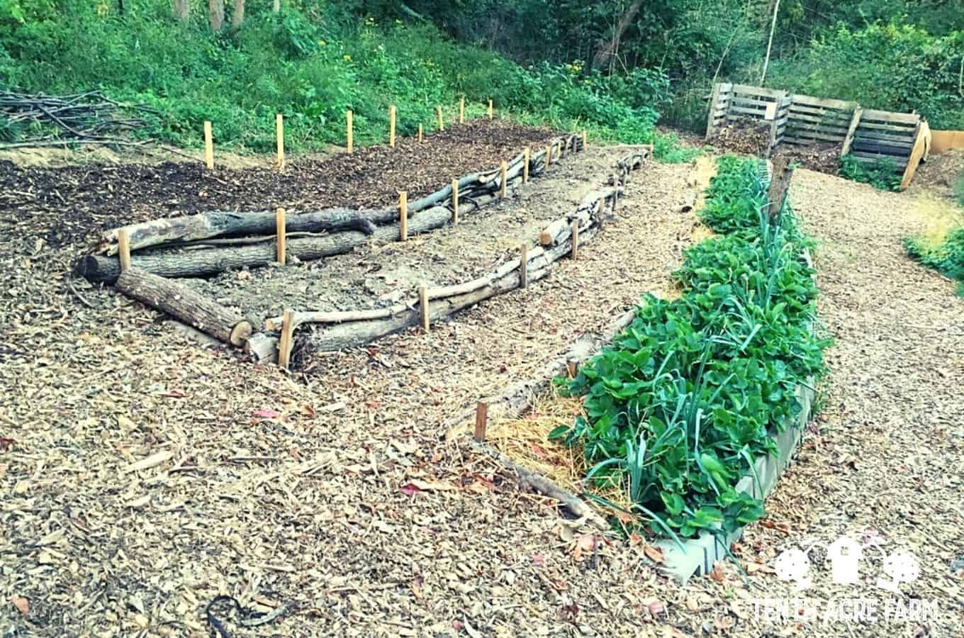 What is Permaculture? Designing a Resilient Garden - Tenth Acre Farm