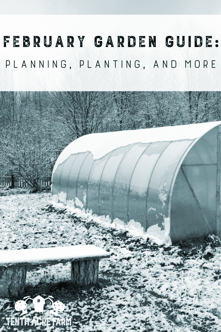 February Garden Guide: Planning, Planting, and More - Tenth Acre Farm