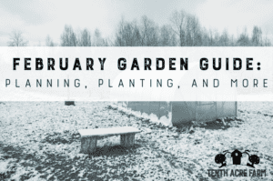 February Garden Guide: Planning, Planting, and More - Tenth Acre Farm