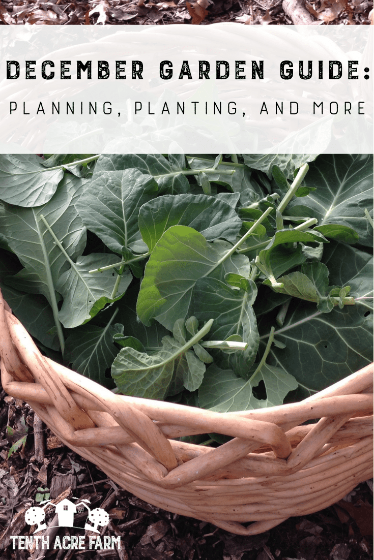 December Garden Guide: Planning, Planting, and More - Tenth Acre Farm
