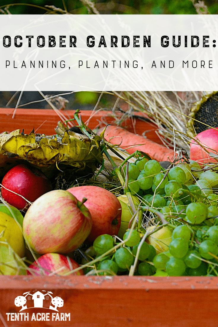 October Garden Guide: Planning, Planting, and More - Tenth Acre Farm