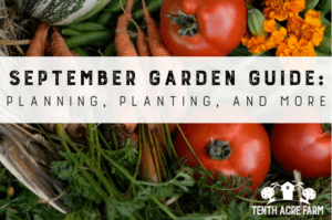 September Garden Guide: Planning, Planting, and More - Tenth Acre Farm
