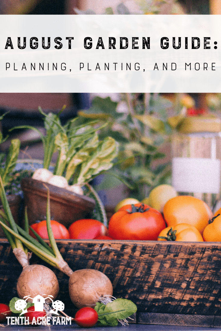 August Garden Guide: Planning, Planting, and More - Tenth Acre Farm