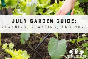 Garden Planning - Tenth Acre Farm