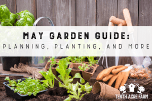 May Garden Guide: Planning, Planting, and More - Tenth Acre Farm