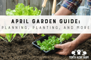 April Garden Guide: Planning, Planting, and More - Tenth Acre Farm