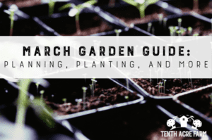 March Garden Guide: Planning, Planting, and More - Tenth Acre Farm