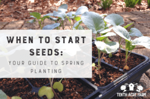 When to Start Seeds: Your Guide to Spring Planting - Tenth Acre Farm