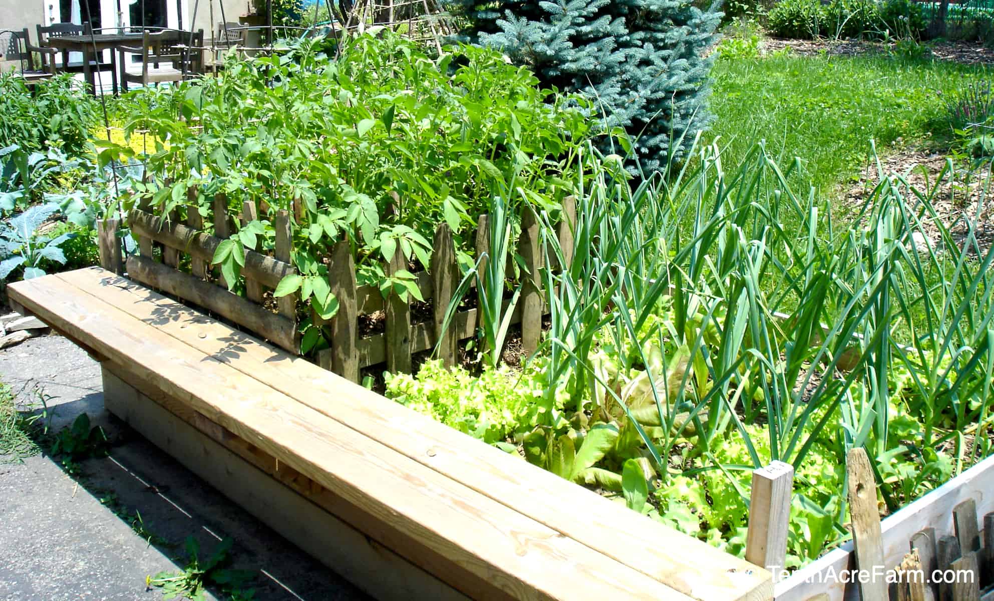 How to Garden in Raised Beds on Pavement - Tenth Acre Farm