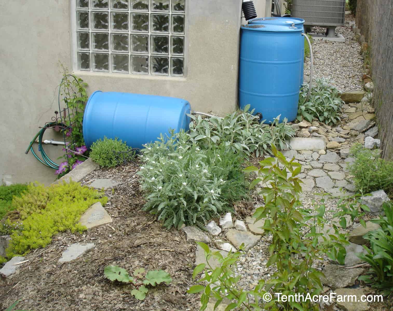 How to Build a Rain Garden to Capture Runoff - Tenth Acre Farm
