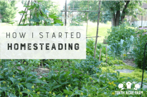 7 Ways to Start a Homestead (Without Being Overwhelmed) - Tenth Acre Farm