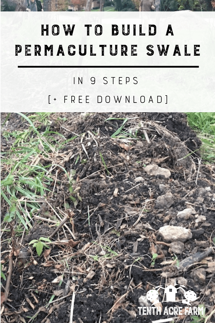 How to Build a Swale in the Residential Landscape [+ Free Download ...