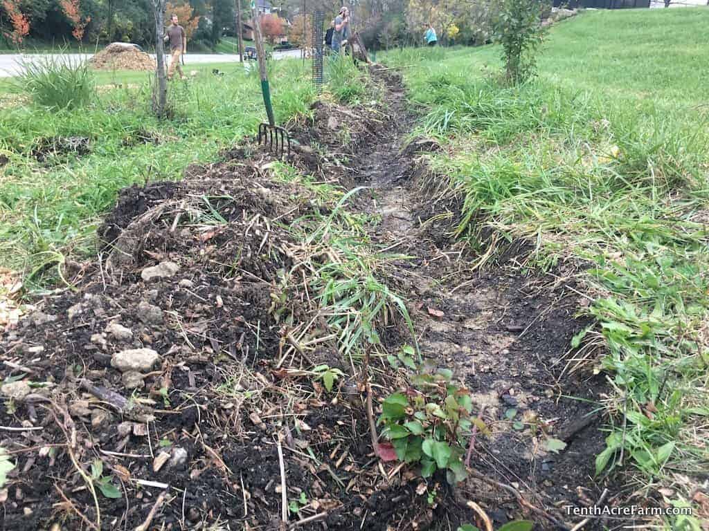 What is a Permaculture Swale: Irrigate the Easy Way [+ Free Download ...