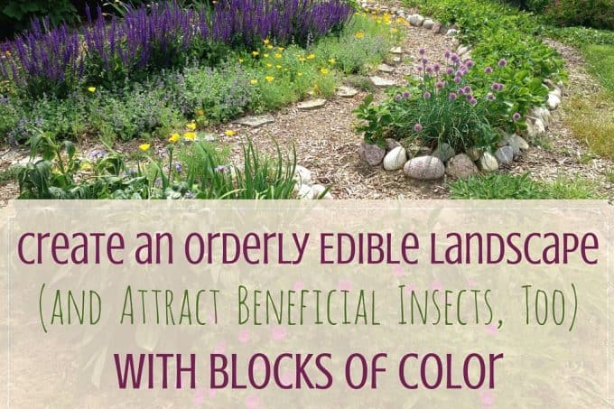 See How Easily You Can Create an Edible Landscape - Tenth Acre Farm