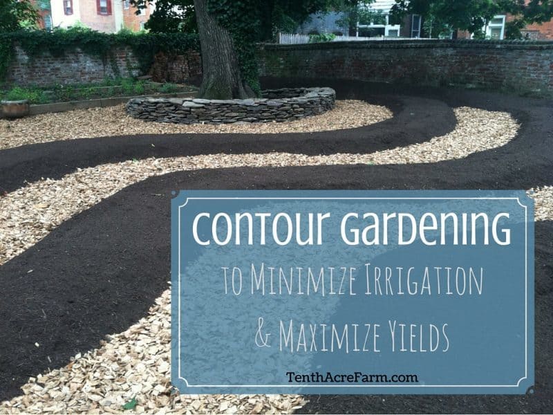 Contour Gardening for Growing on a Slope - Tenth Acre Farm