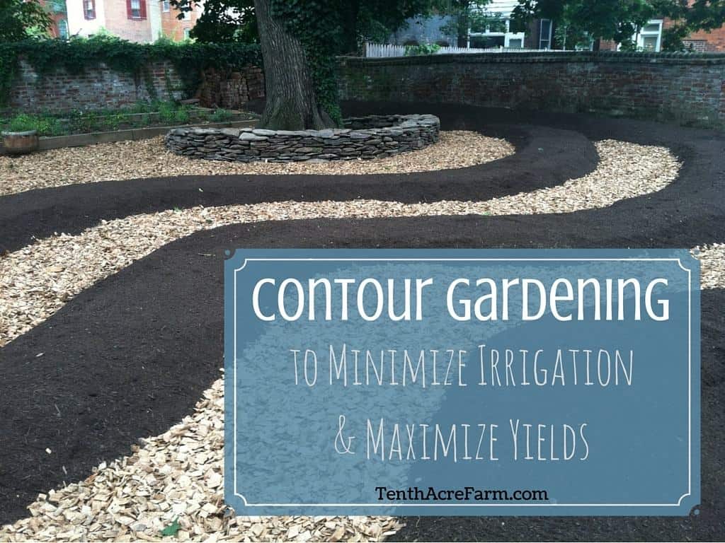 Contour Gardening for Growing on a Slope - Tenth Acre Farm