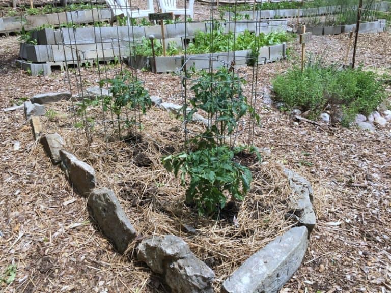 How to Add Interest and Productivity with a Circle Garden Design ...
