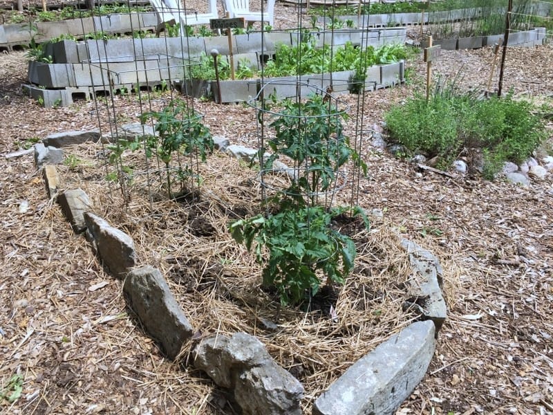 How to Add Interest and Productivity with a Circle Garden Design ...