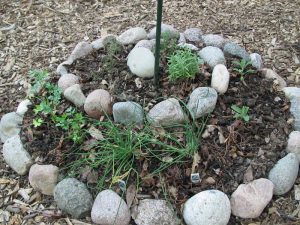 How to Add Interest and Productivity with a Circle Garden Design ...