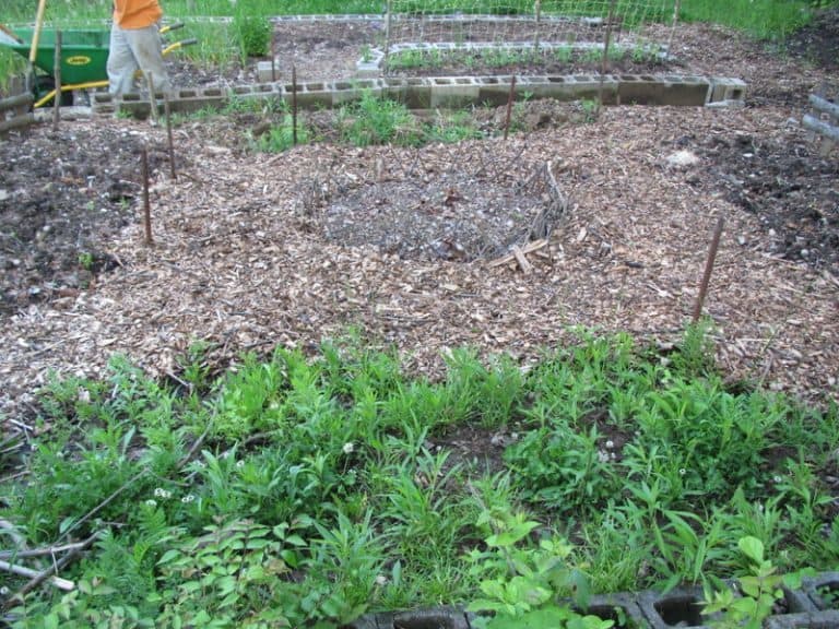 How to Add Interest and Productivity with a Circle Garden Design ...