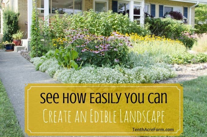 Create an Orderly Edible Landscape (and Attract Beneficial Insects, Too ...