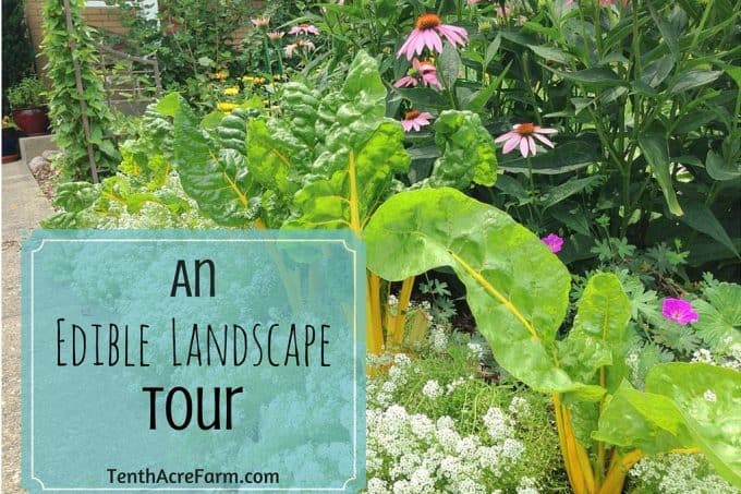 See How Easily You Can Create an Edible Landscape - Tenth Acre Farm