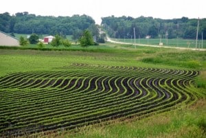 Contour Gardening for Growing on a Slope - Tenth Acre Farm