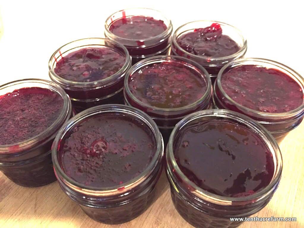 Growing a Jelly Garden With Wild Berry Bushes - Tenth Acre Farm