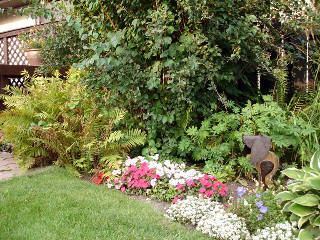 How to Plant a Hedgerow - Tenth Acre Farm