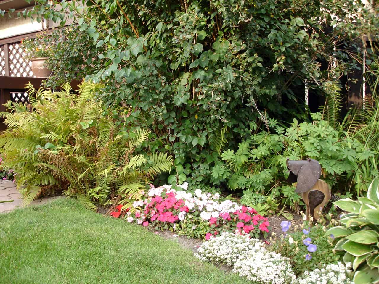 How to Plant a Hedgerow - Tenth Acre Farm