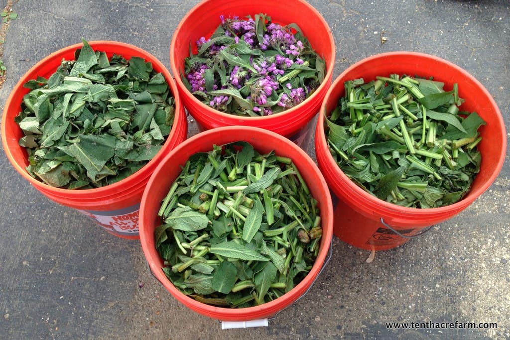 5 Types of Mulch for the Permaculture Garden - Tenth Acre Farm