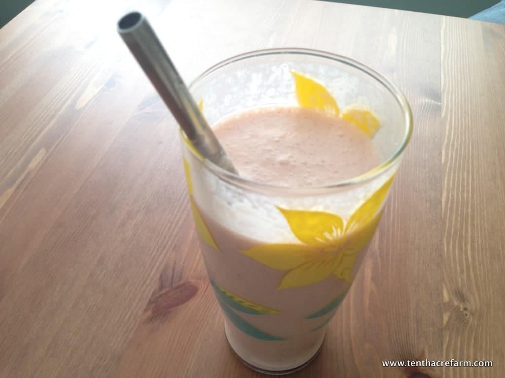 How to Grow and Use Currant Bushes - Tenth Acre Farm