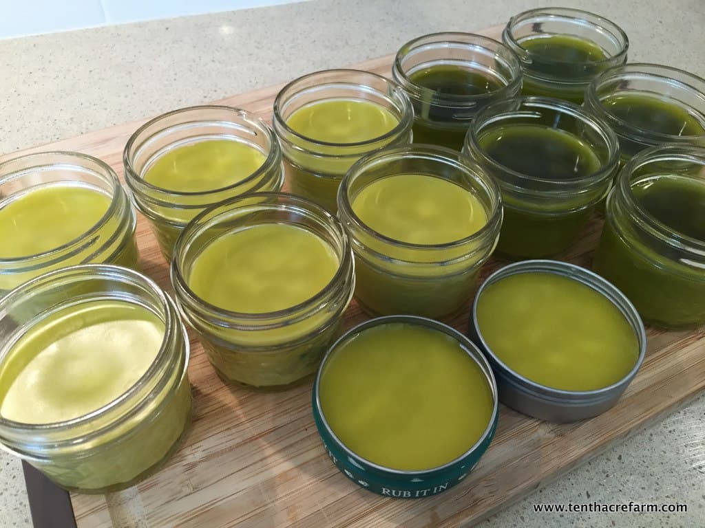 How to Make Herbal Salve with Calendula and Comfrey - Tenth Acre Farm