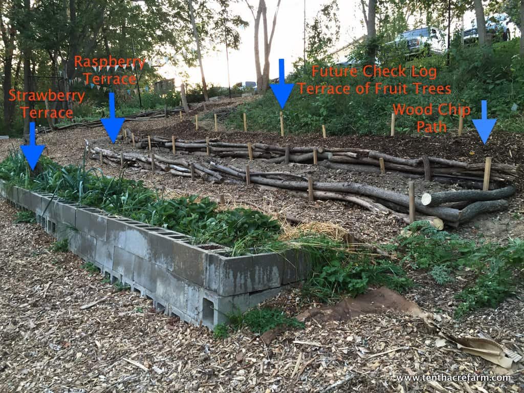 A Quick Way to Terrace a Hill [+ Free Download] - Tenth Acre Farm