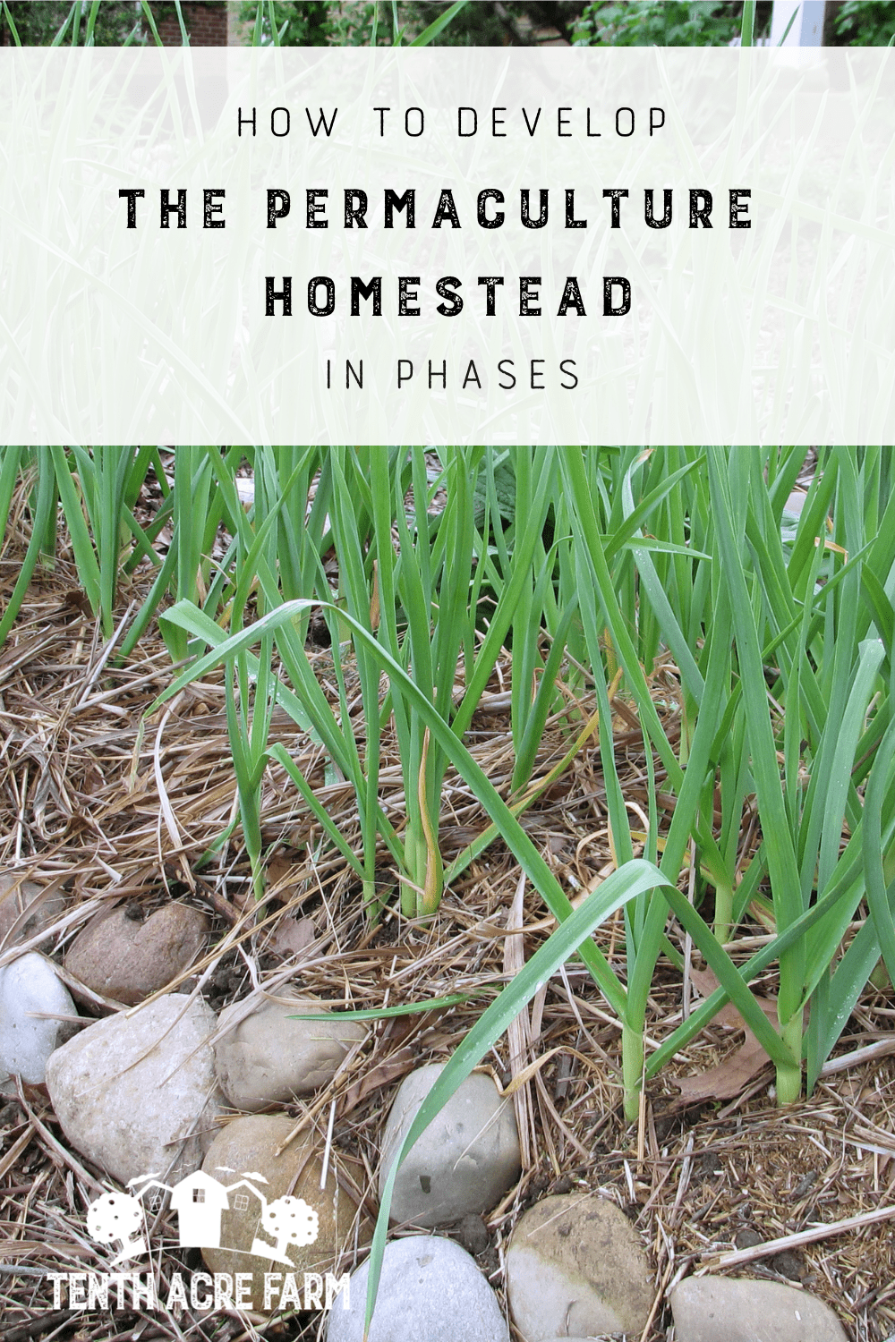 How to Develop a Permaculture Site in Phases - Tenth Acre Farm