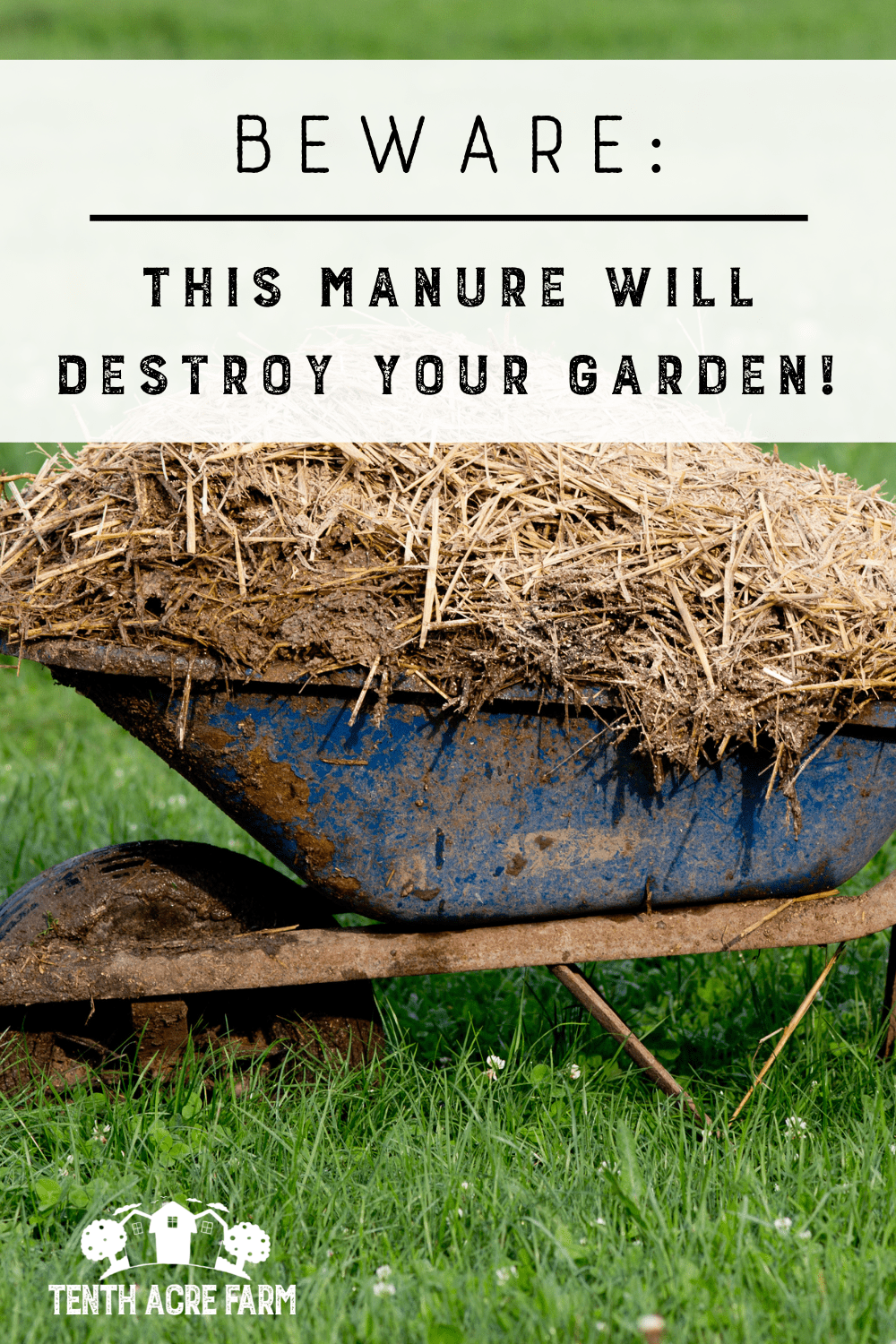 Beware: This Manure Will Destroy Your Garden - Tenth Acre Farm