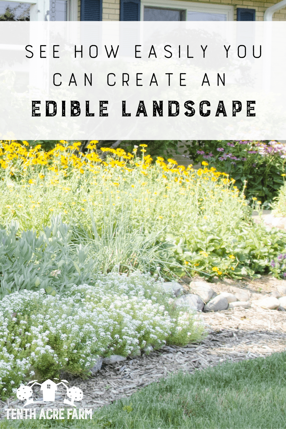 See How Easily You Can Create an Edible Landscape - Tenth Acre Farm