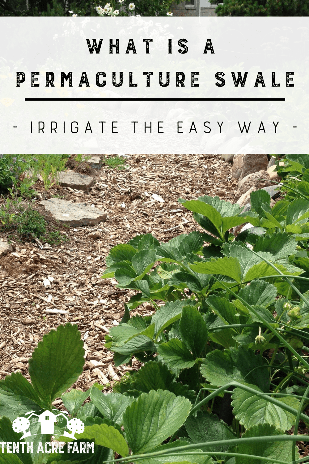 What is a Permaculture Swale: Irrigate the Easy Way [+ Free Download ...