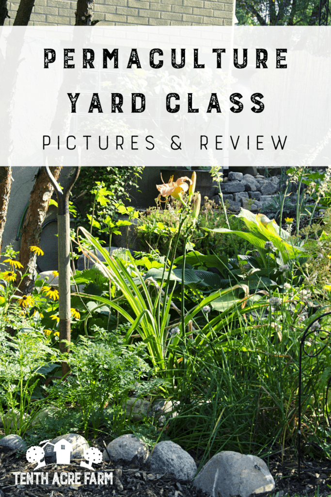 Permaculture Yard Class Pictures and Review - Tenth Acre Farm