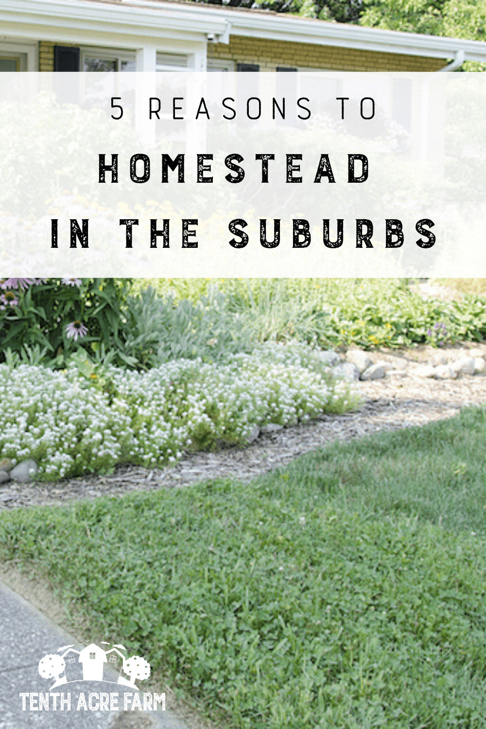 5 Reasons to Homestead in the Suburbs - Tenth Acre Farm